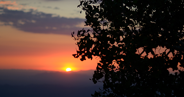 What's Up? - Ohio Skylights July 2023 | Arne Slettebak Planetarium at ...